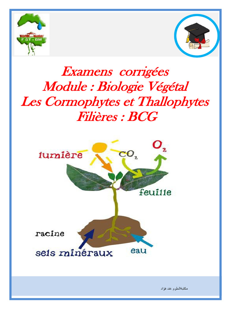 Cormophytes et Thallophytes en Biologie | PDF | Biologie | la reproduction