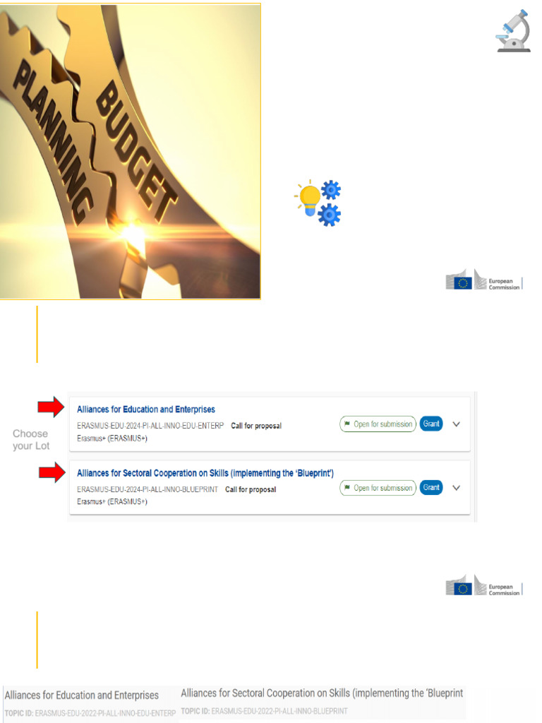 Filling Out Erasmus+ Budget Table | PDF | Computing
