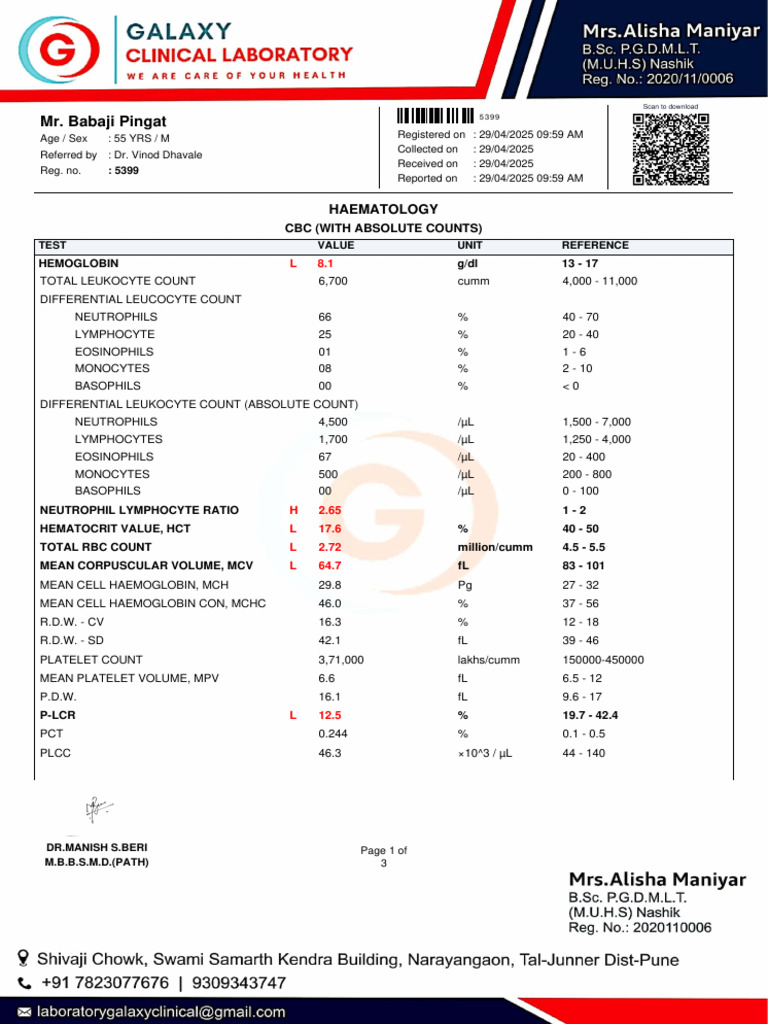 LabReport-L1-Mr.BabajiPingat55YRS-M-29-04-202520250429-2-9tfsi | PDF | White Blood Cell ...