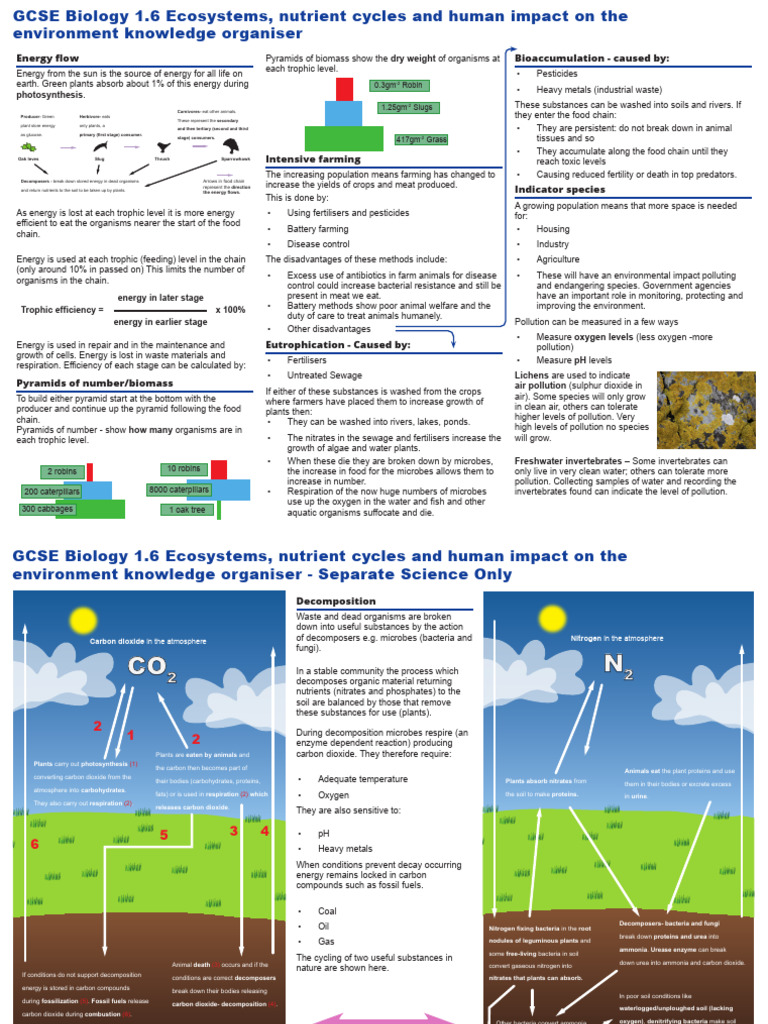 GCSE Biology 1.6 Ecosystems, Nutrient Cycles and Human Impact on the ...