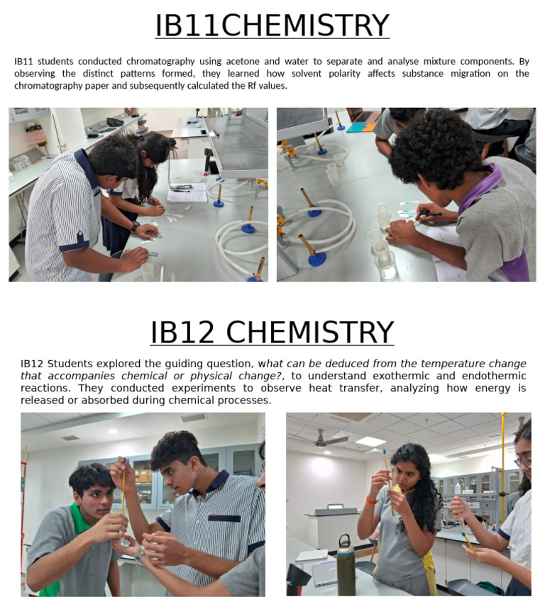 IBDP_Chem Activities (July 8th-12th) | PDF