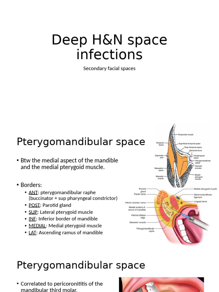 Deep Neck Infection | PDF