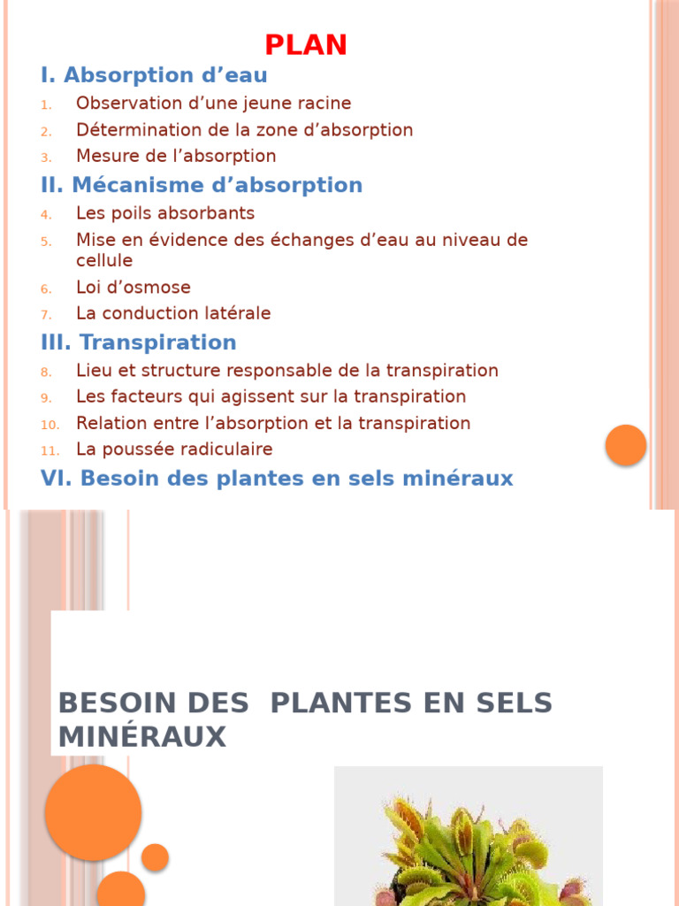Besoins en sels minéraux des plantes | PDF | Racine | Plantes