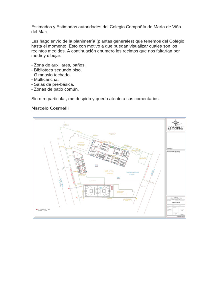 Informe Avance Cosmelli | PDF