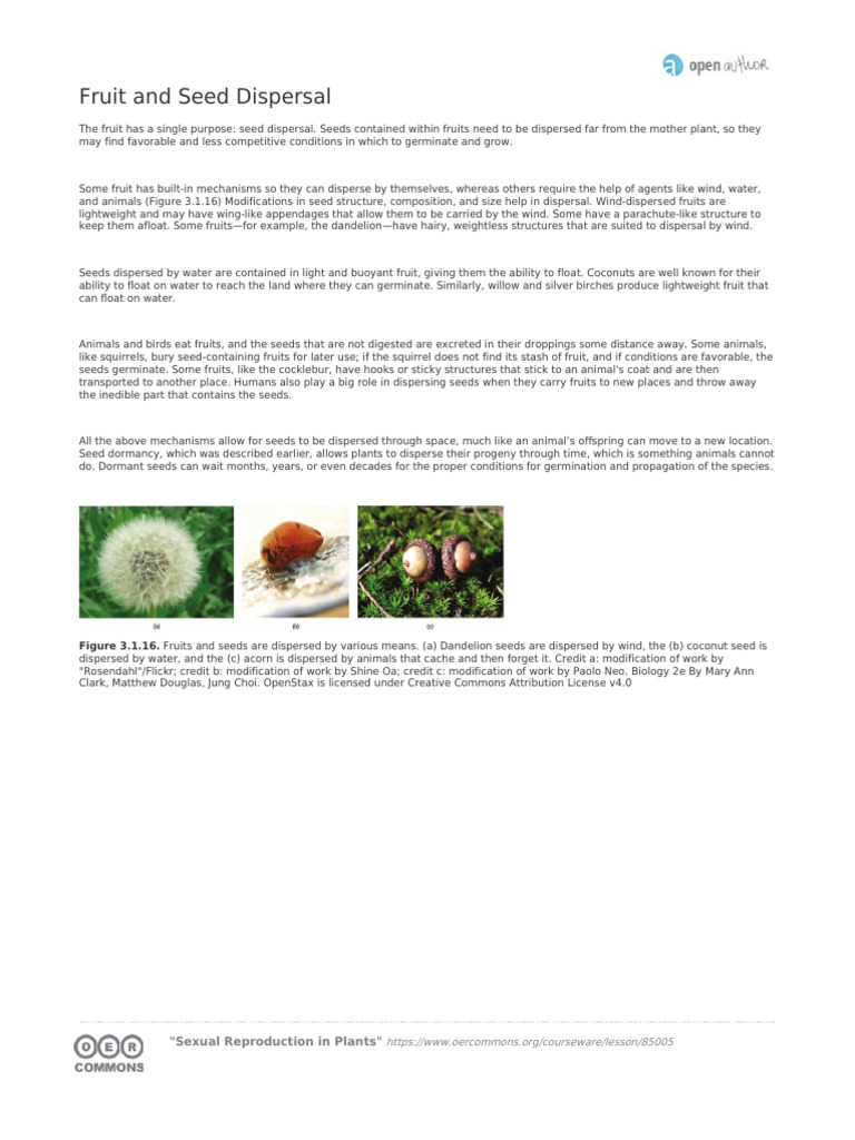 1.8 Fruit and Seed Dispersal syJeqrG | PDF