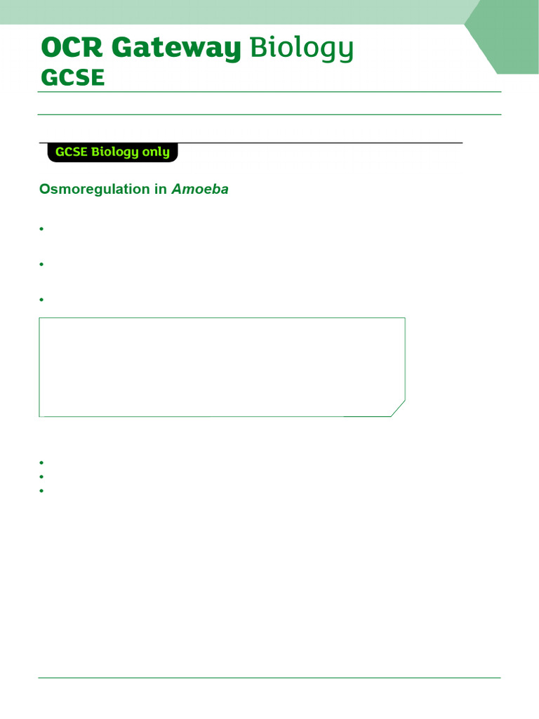 Osmoregulation Mechanism in Amoeba | PDF | Osmosis | Vacuole