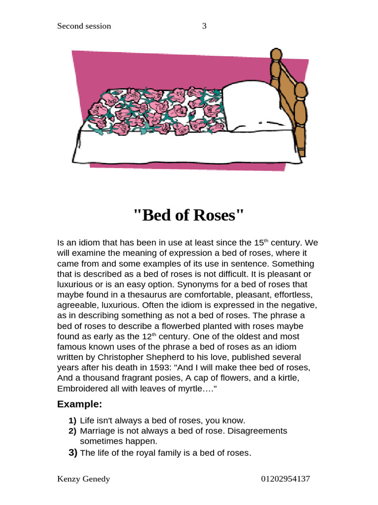 Understanding "Bed of Roses" Idiom | PDF