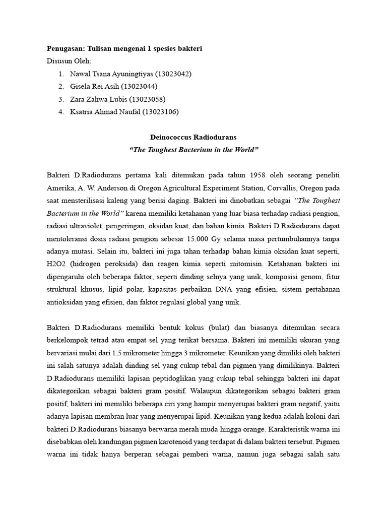 [Mikrobiologi] Penugasan Esai Bakteri D.Radiodurans | PDF
