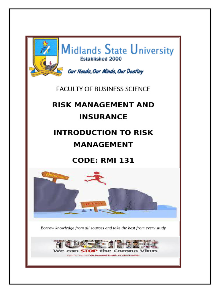 Foundations of Risk Management | PDF | Risk | Risk Management
