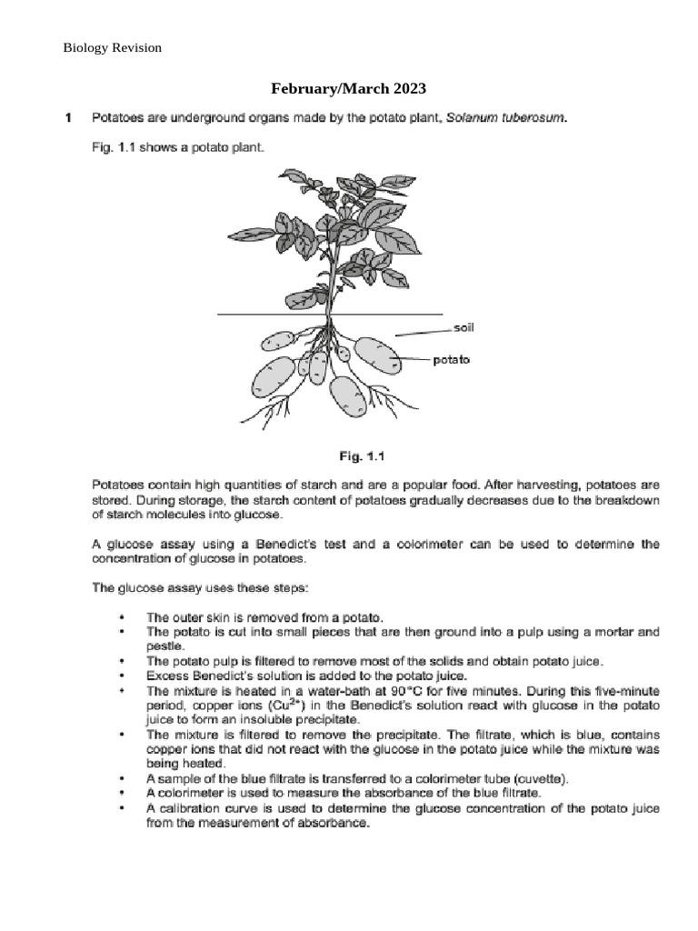 2024 Compiled Cambride Biology Planning - 2 | PDF