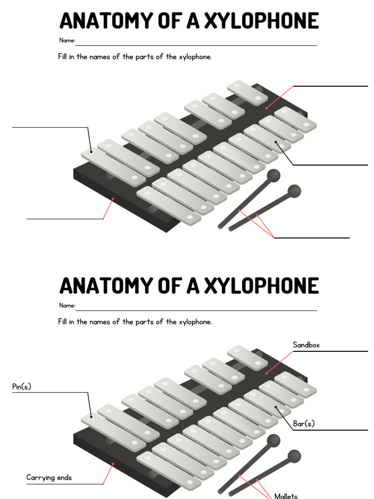Anatomy of A Xylophone | PDF