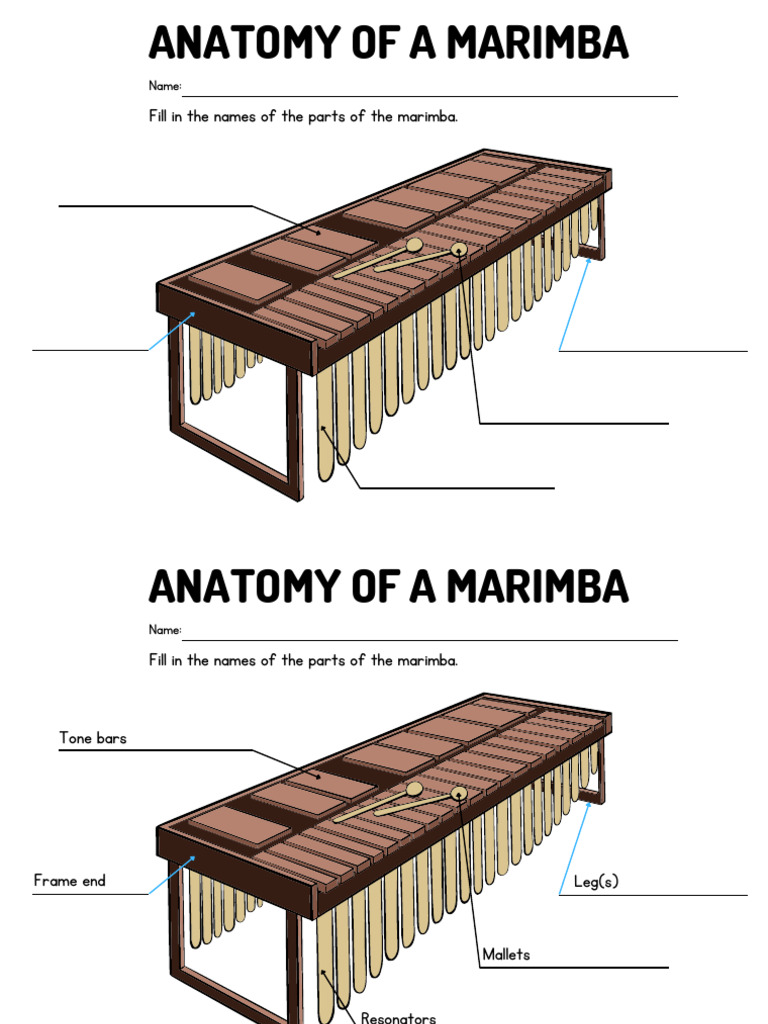 Marimba Parts and Anatomy Diagram | PDF
