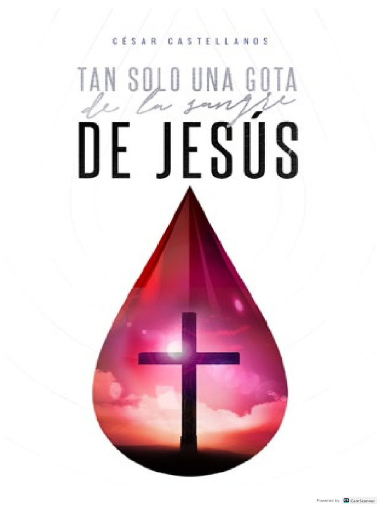 Libro Victoria Por La Sangre | PDF