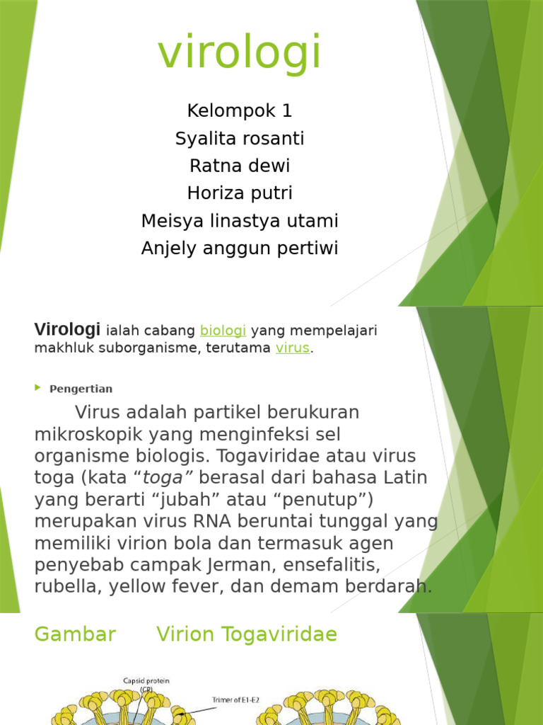 Virologi: Virus Togaviridae dan Rubella | PDF
