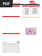 Understanding Stress Leukogram Patterns | PDF | White Blood Cell ...
