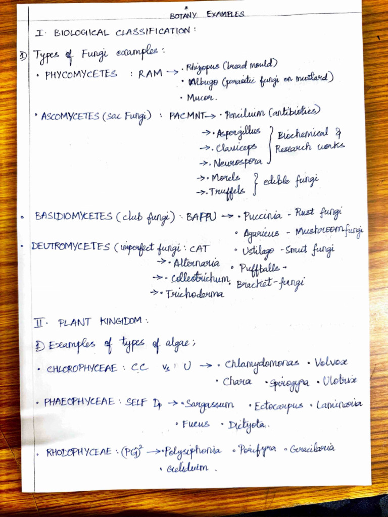 Botany Examples | PDF