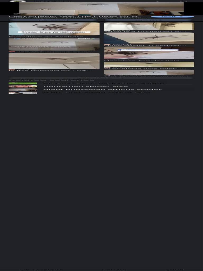 Atticus Spider - Google Search | PDF