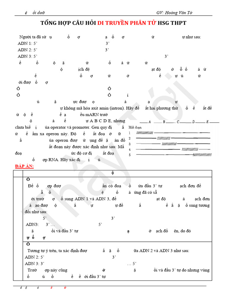 0.Câu Hỏi Di Truyền Phân Tử Hsg | PDF