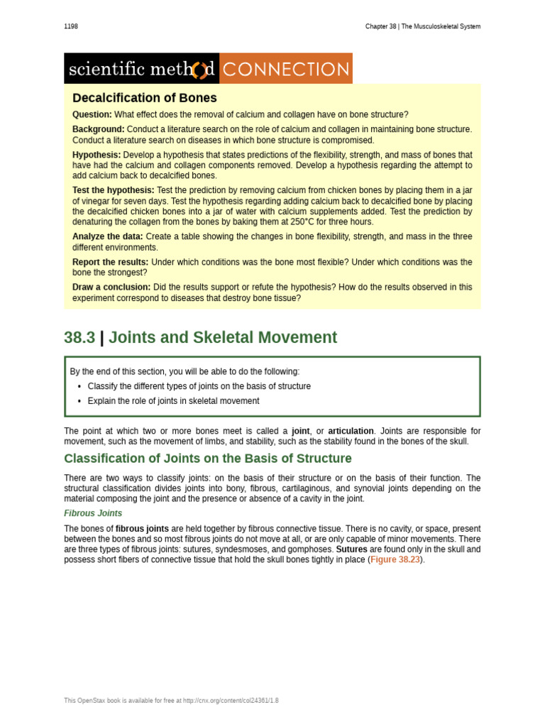 38.3 Joints and Skeletal Movement | PDF | Anatomical Terms Of Motion ...
