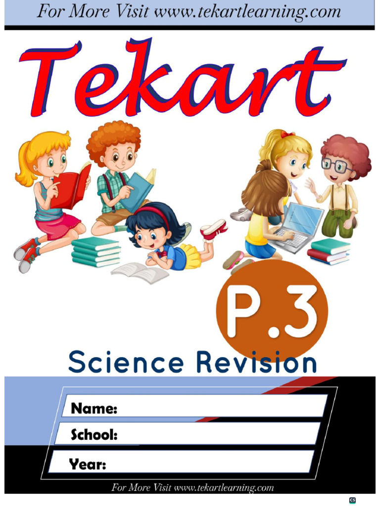p.3 Science Work Booklet PDF | PDF