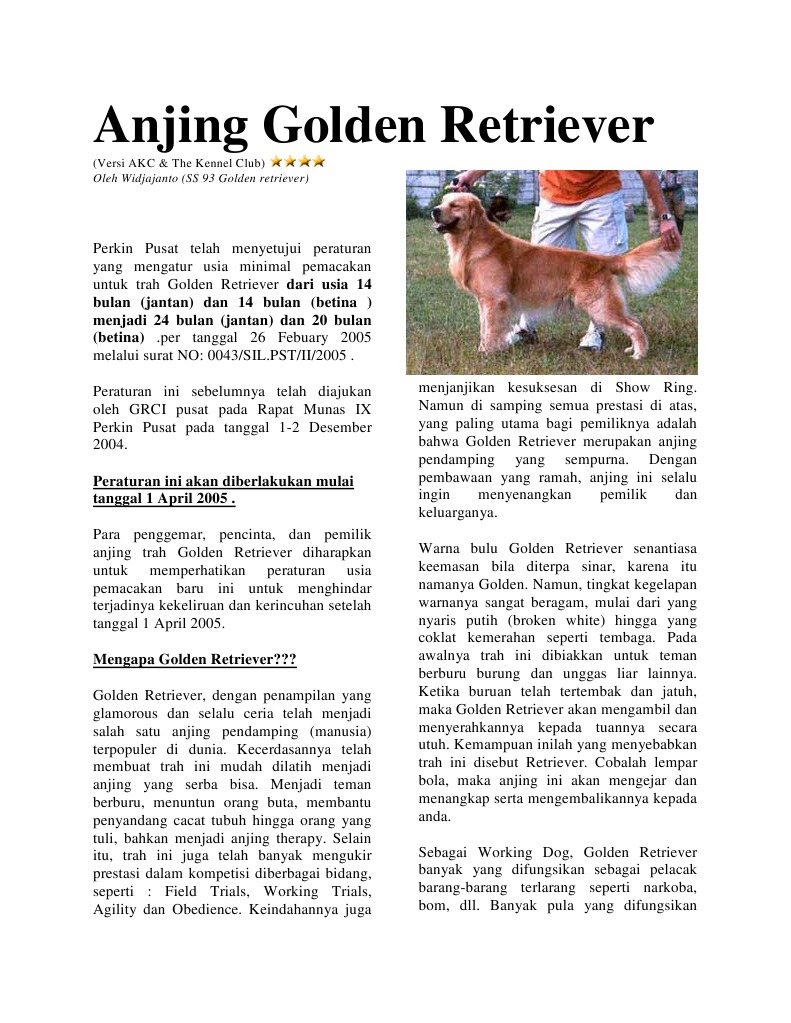 Anjing Golden Retriever | PDF