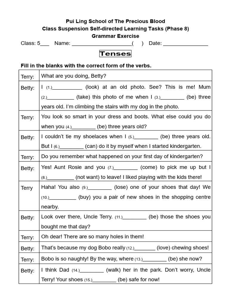 P5-Grammar-Exercise-Phase-8 | PDF