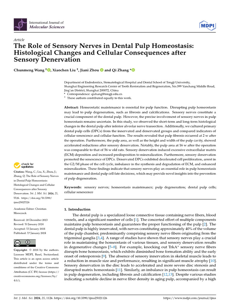 The Role of Sensory Nerves in Dental Pulp Homeostasis Histological ...