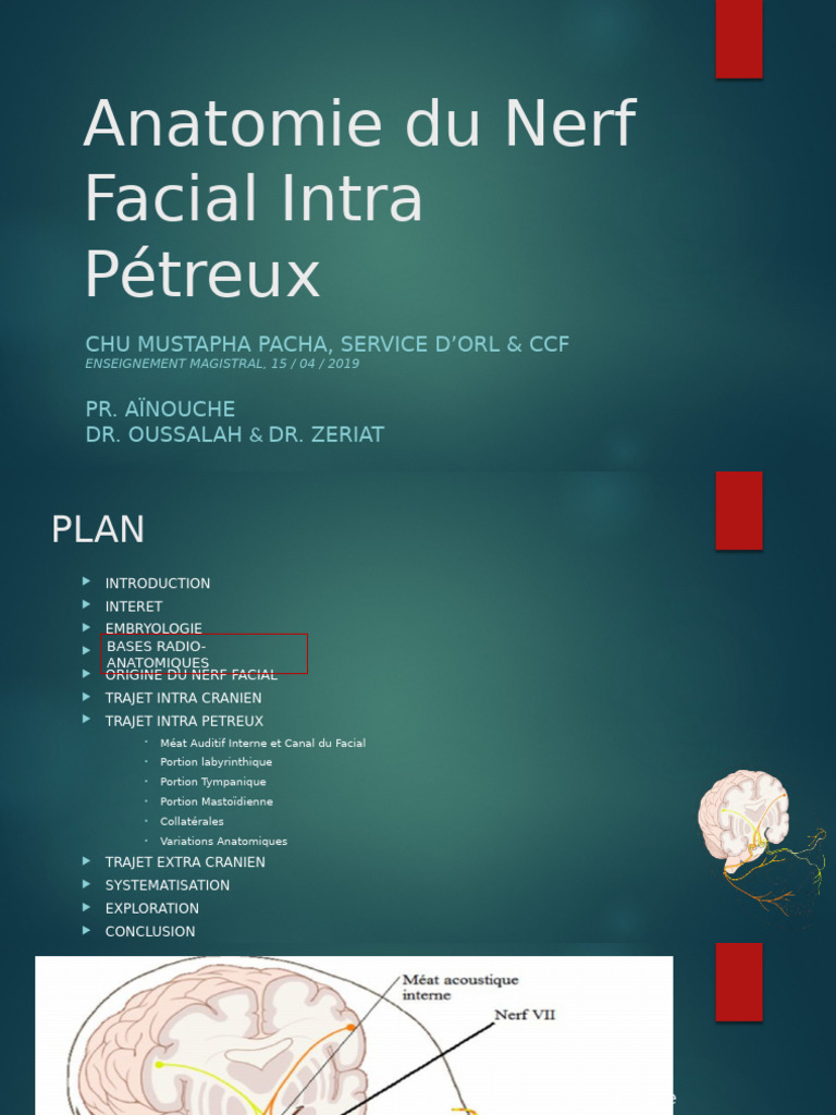 Anatomie du Nerf Facial Intra-Pétreux | PDF | Tomodensitométrie ...