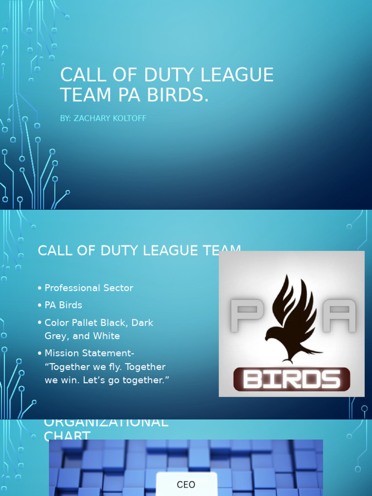 Call of Duty League Team PA Birds | PDF