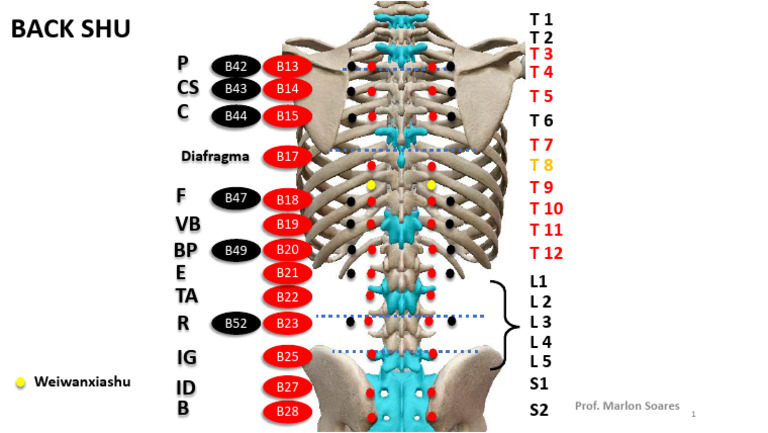 BACK SHU. Prof. Marlon Soares.. | PDF
