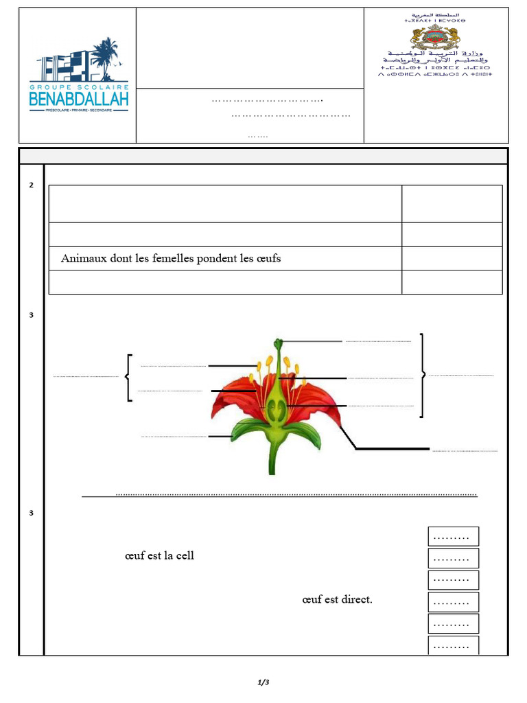 Contrôle Continu N° 1 - Semestre 2 - 2ASC - B | PDF | Fécondation | Zoologie