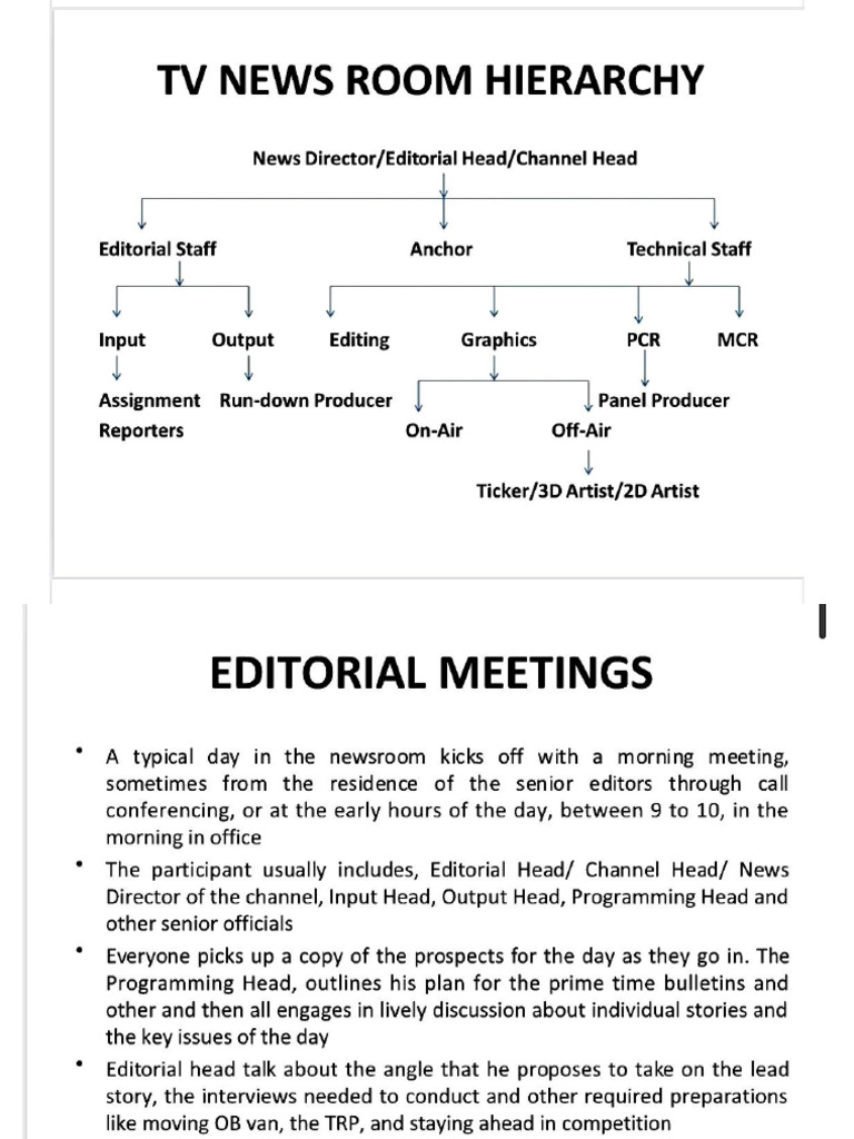 Structure of TV News Channel | PDF