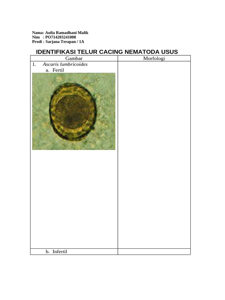 TABEL CACING | PDF