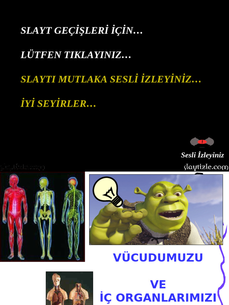 Hayat Bilgisi2 Tema1 Vucudumuz | PDF