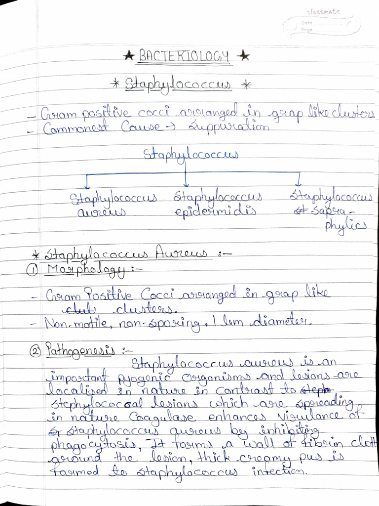 Bacteriology | PDF