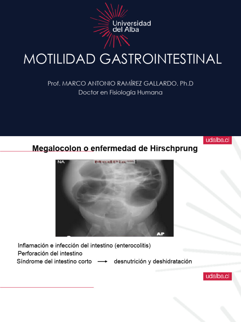Clase Motilidad Gastrointestinal 2025 | PDF | Estómago | Tracto ...