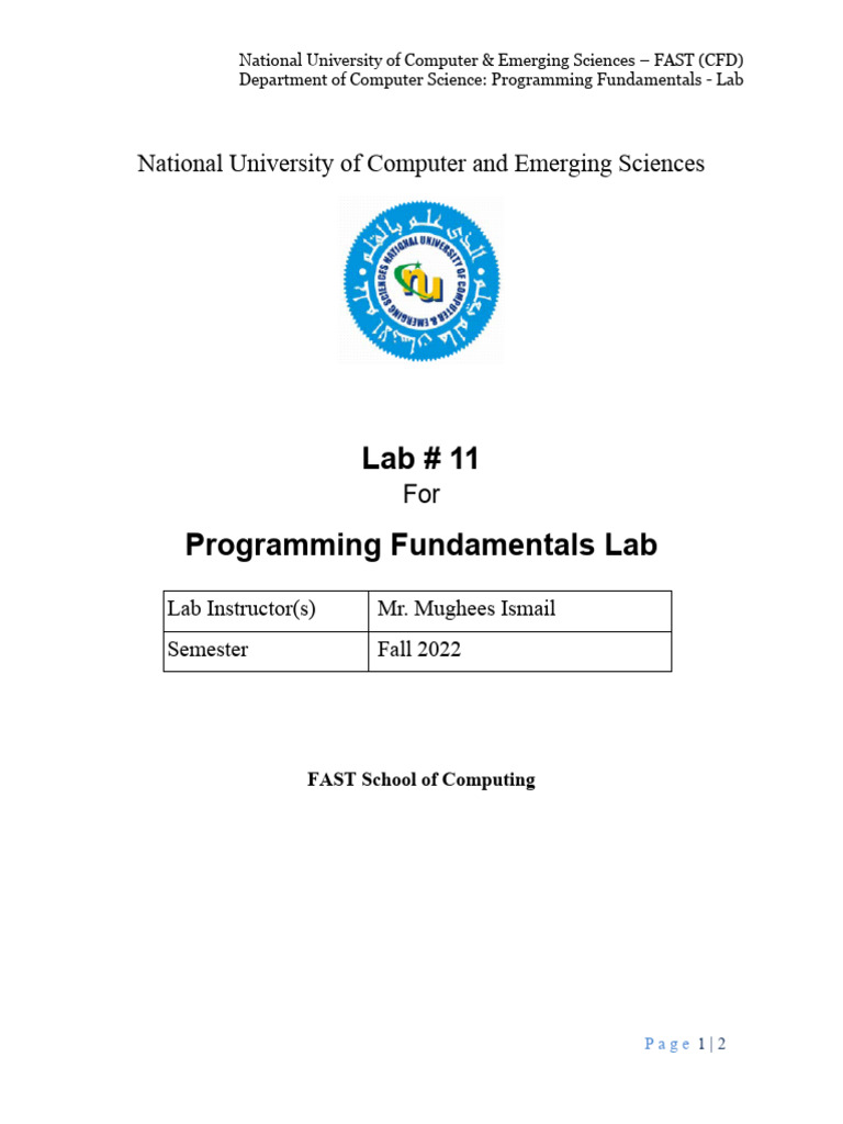 C++ Programming Lab Tasks Guide | PDF | Encryption | String (Computer ...