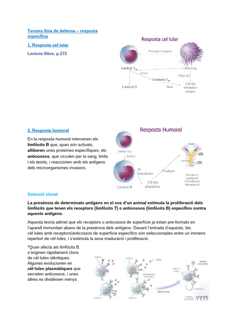 Tercera Línia de Defensa - Resposta Humoral I Cel Lular | PDF