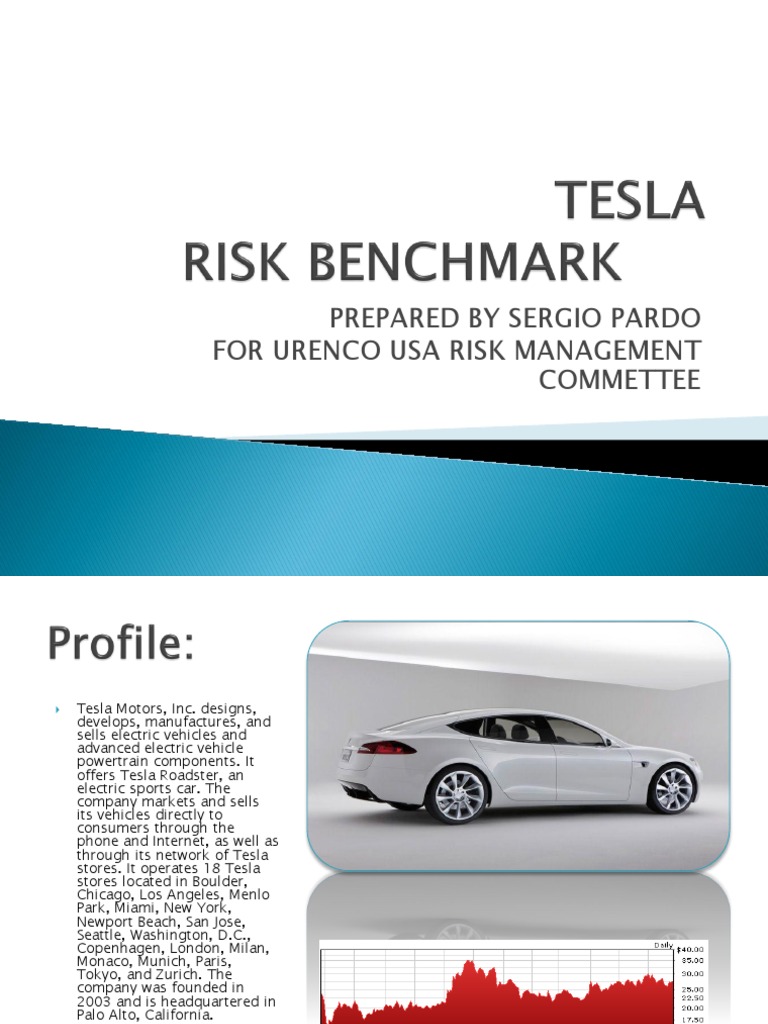 Tesla Inc: Company Profile & Risks | PDF | Tesla Model S | Vehicles