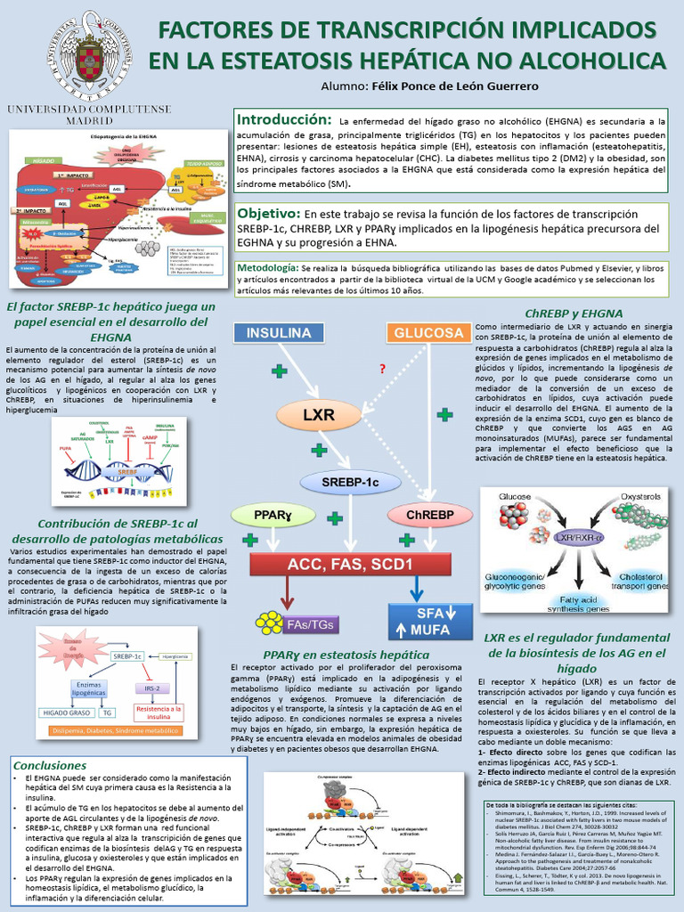 Felix Ponce de Leon Guerrero | PDF | Lípido | Especialidades Medicas
