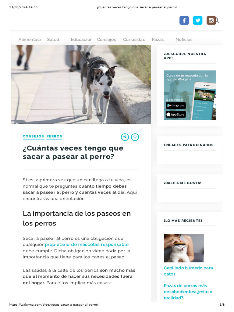 ¿Cuántas Veces Tengo Que Sacar A Pasear Al Perro | PDF | Perros | Mascota