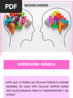 Definición de gen y alelo en genética | PDF | Gene | Adn