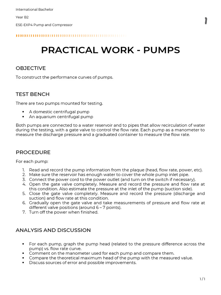 Practical Work - Pumps | PDF