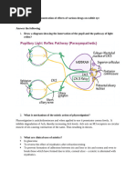 Miotics and Mydriatics | PDF | Ophthalmology | Human Eye