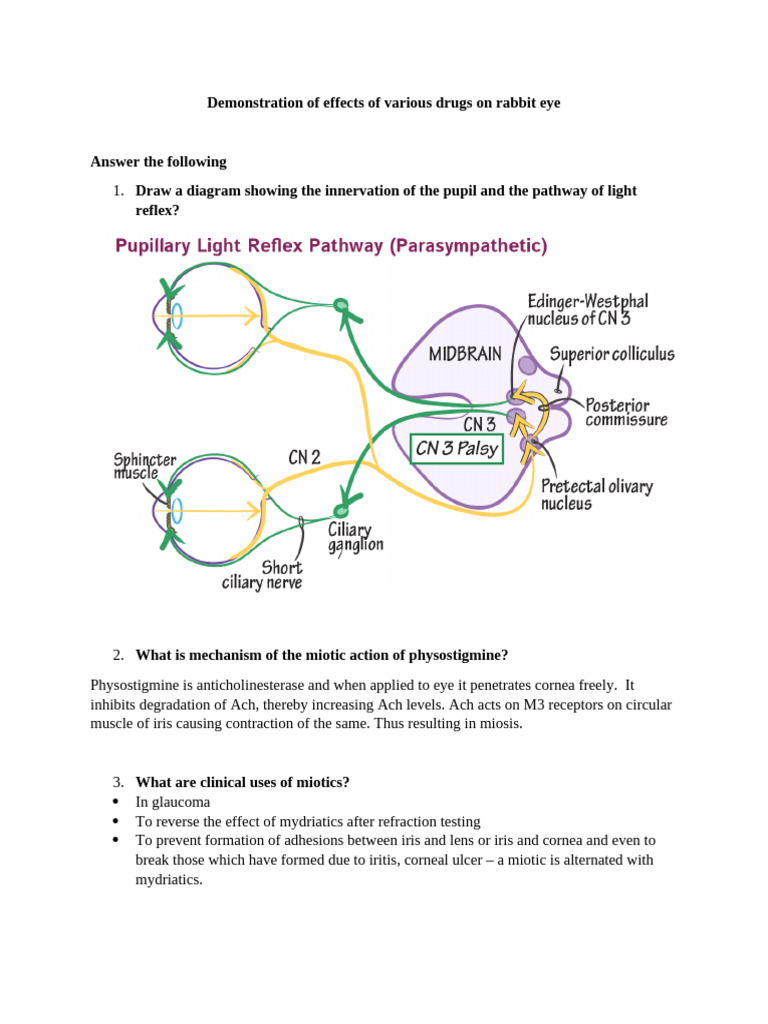 Model Answers For Demonstration of Effects of Drugs On Rabbit Eye (For ...