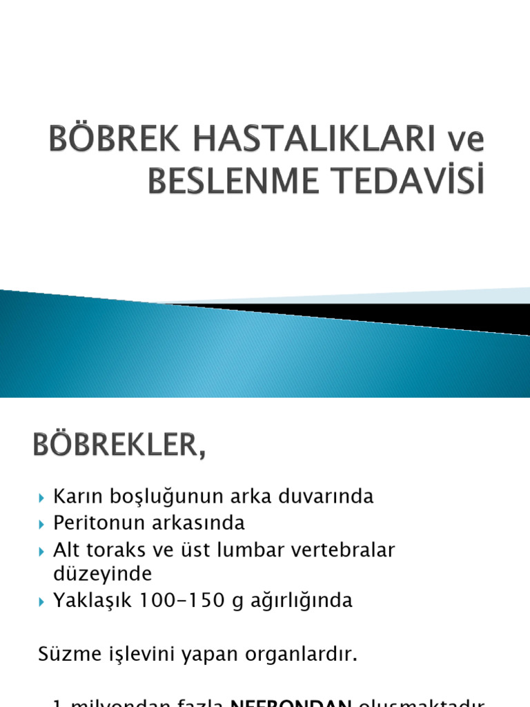 BÖBREK HASTALIKLARI ve BESLENME TEDAVİSİ-PDF | PDF