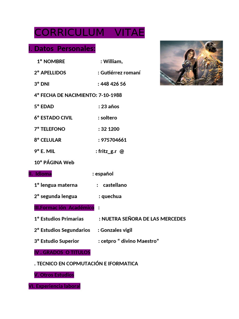 Corriculum Vitae | PDF