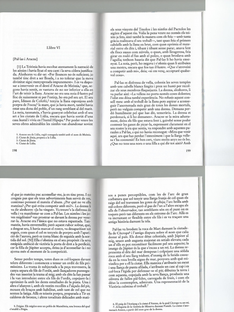 Les Metamorfosis Llibre VI-X 24-25 Examen | PDF