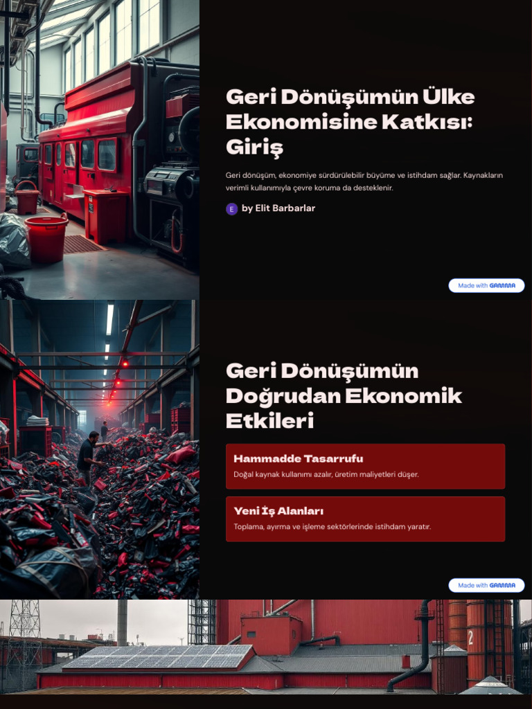 Geri Donusumun Ulke Ekonomisine Katkisi Giris | PDF