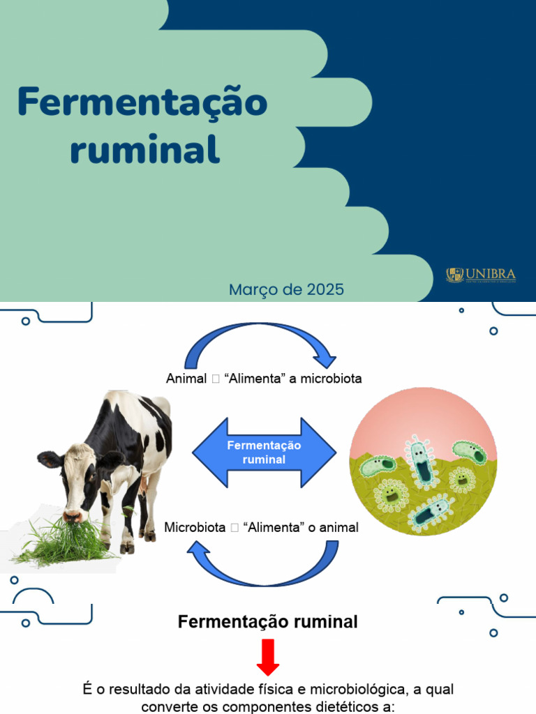 Fermentação Ruminal: Processos e Fatores | PDF | Microrganismo ...